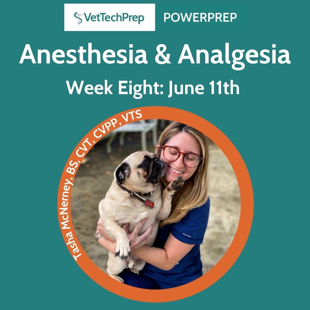 VTP- Anesthesia & Analgesia PowerPrep