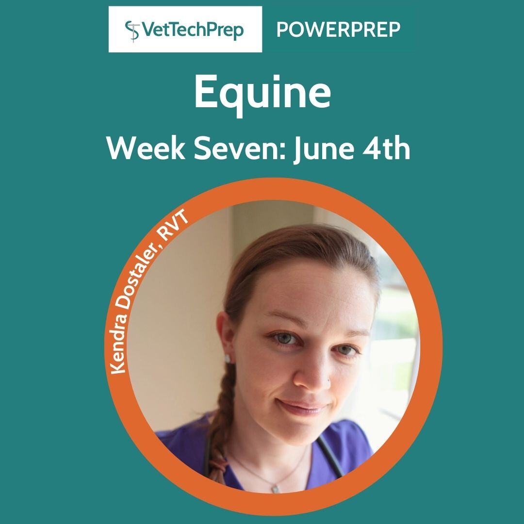 VTP- Equine PowerPrep