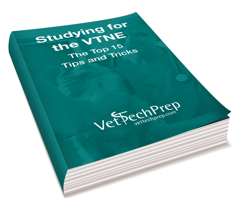 Download Your Free VTNE Study Guide Today