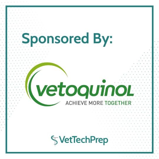 VTP- Equine PowerPrep