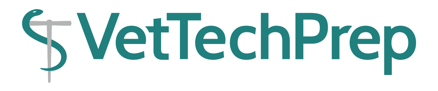 VTP- Introduction On-Demand (PowerPrep)