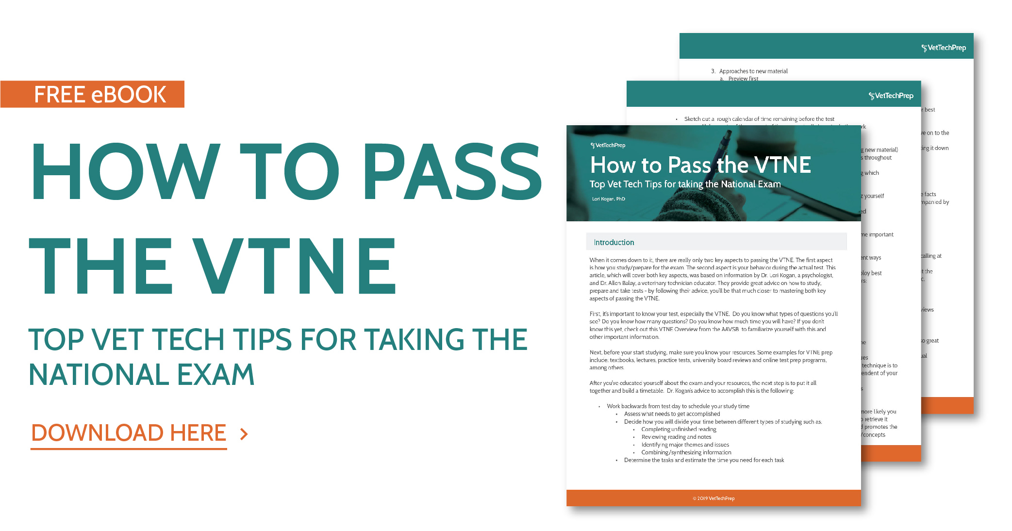How to Pass the VTNE® - Top Vet Tech Tips for taking the National Exam