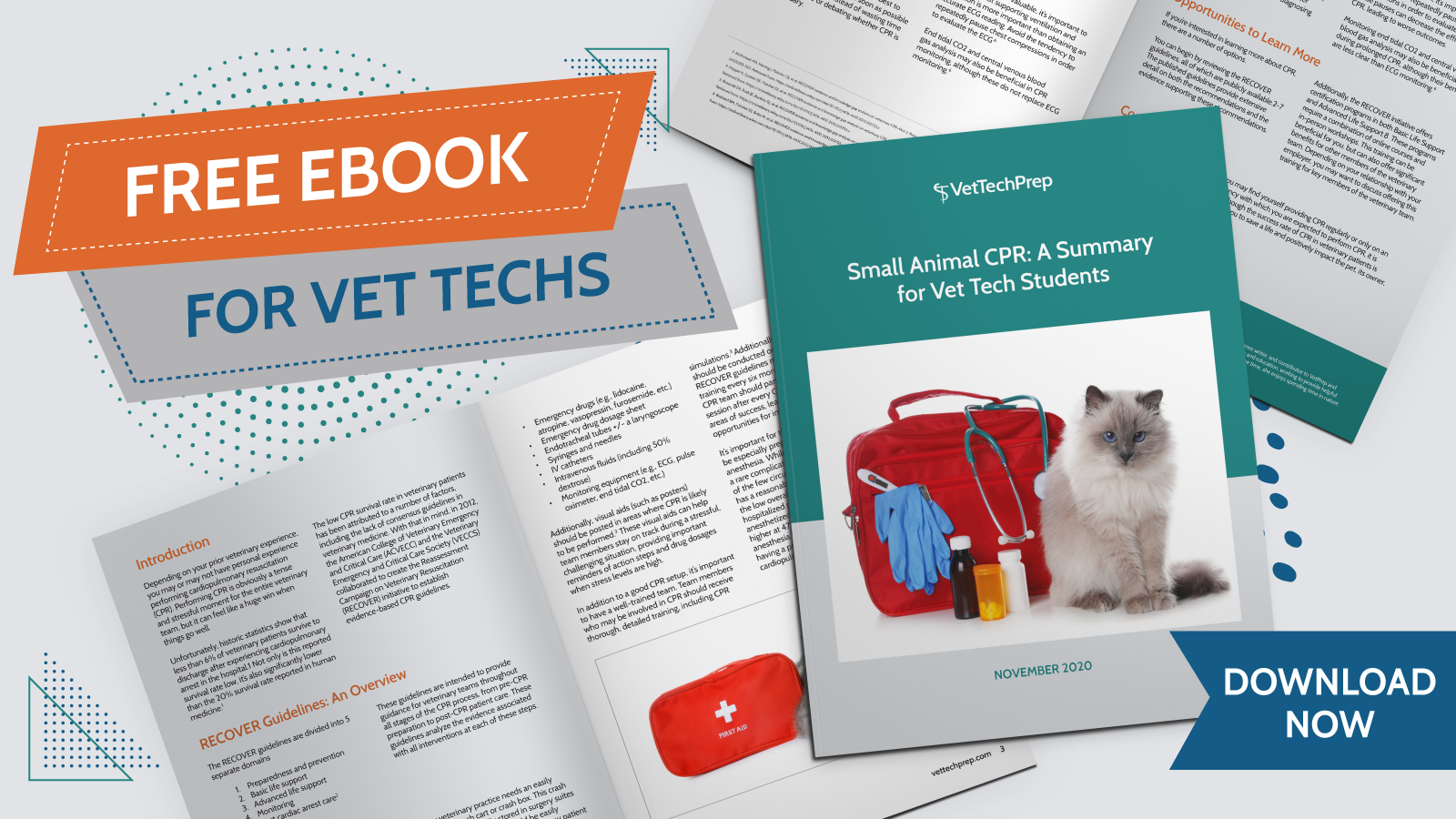 Small Animal CPR: A Summary for Vet Tech Students